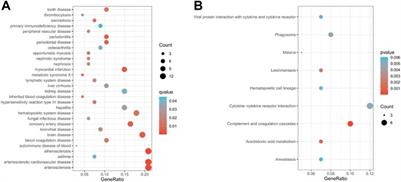 Frontiers | Integration of RNA molecules data with prior-knowledge driven Joint Deep Semi ...